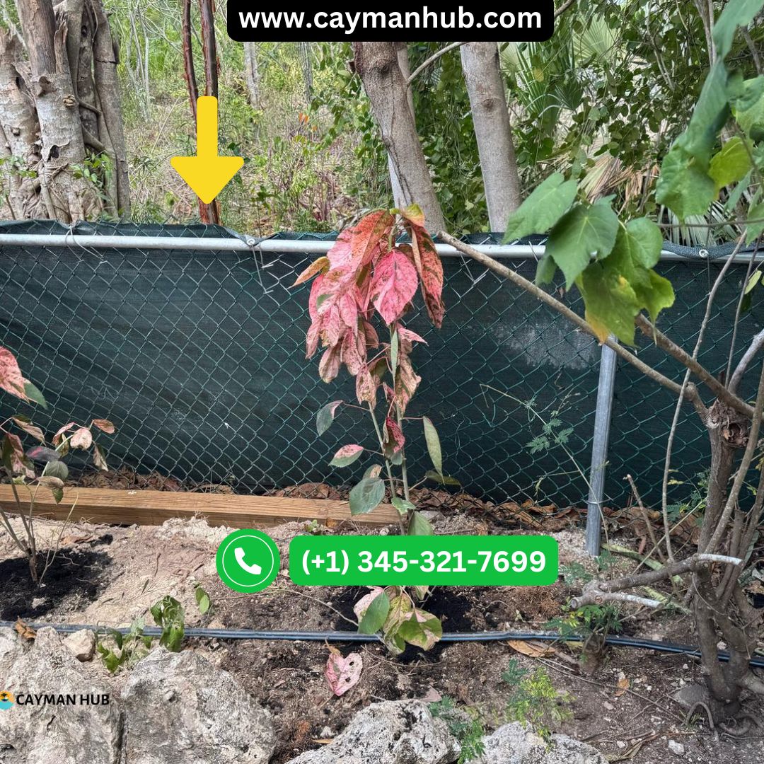 Chainlink fencing in Cayman Islands